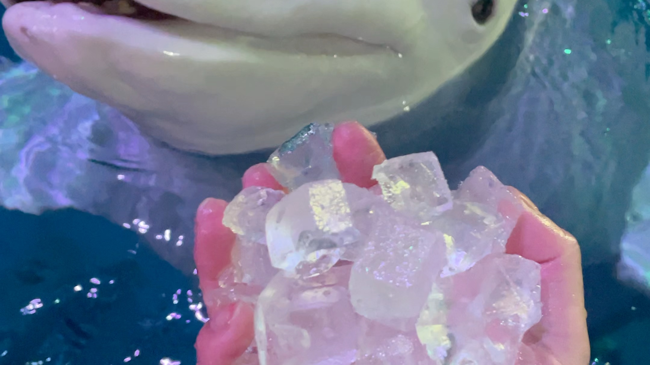 Original sound: Eating ice cream—and listen to Dabai burping one after ...