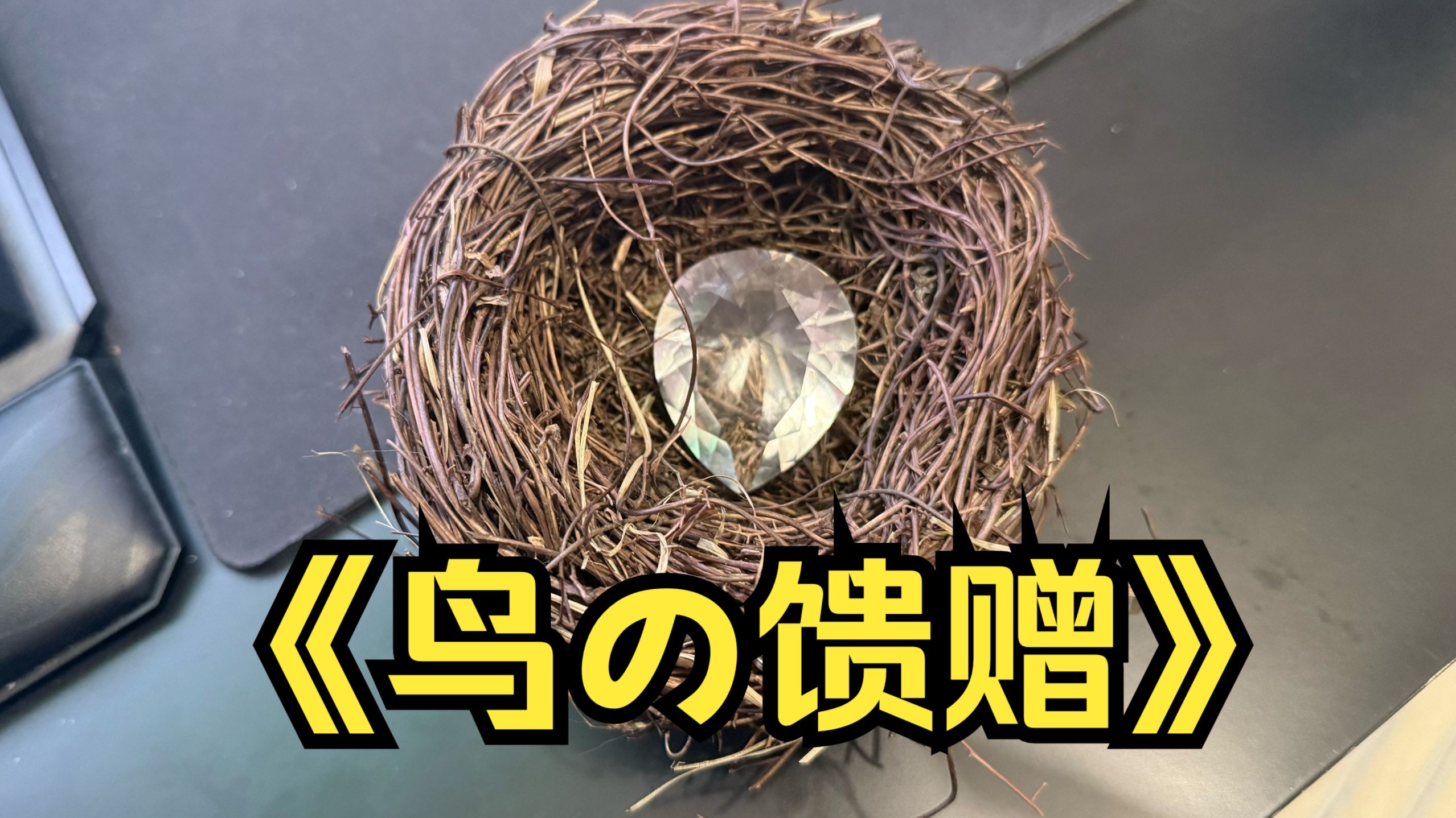 You mean… there’s actually an African Star in that bird’s nest?? - BiliBili