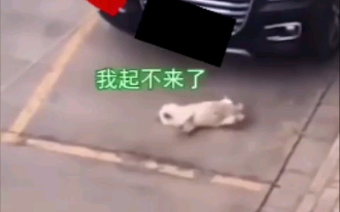 You can tell as soon as they open their mouth—they’re just trying to ...