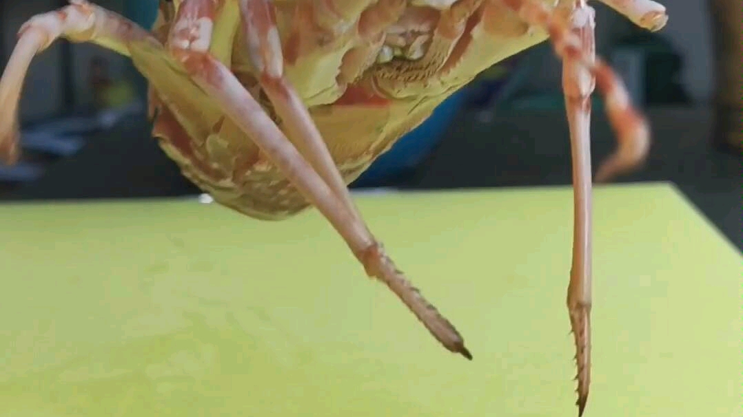 Sederhana tapi nikmat, bakar sate saja! - Bstation