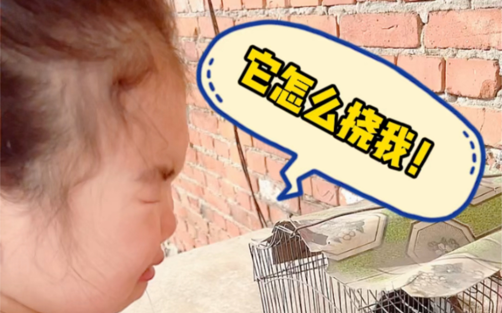 I got bullied by a rabbit early this morning... - BiliBili