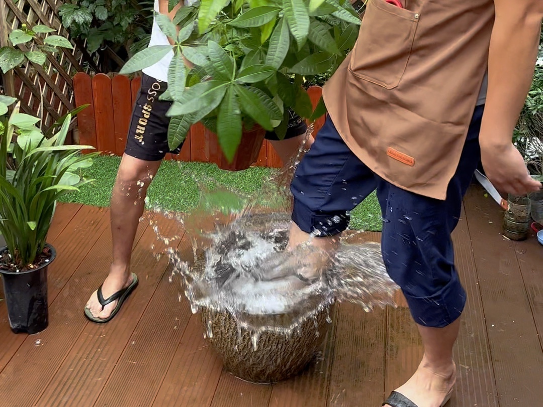 The Right Way to Water Flowers and Plants - BiliBili