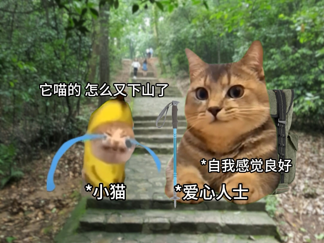 Looks like “Despair Slope” was named just for me, huh? - BiliBili