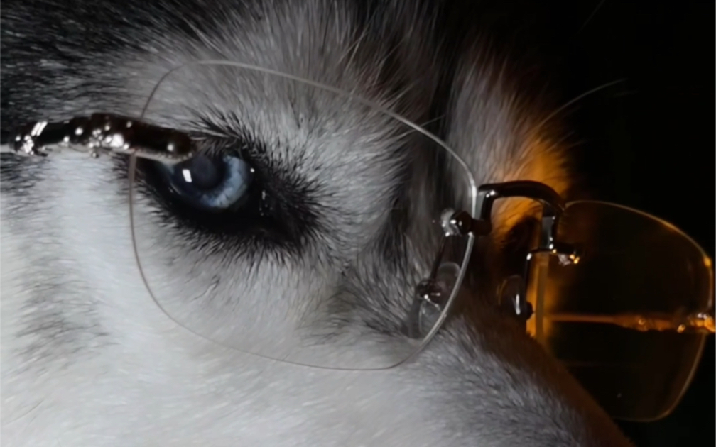 See you all next year! - BiliBili