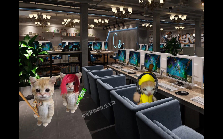 The Banana Cat’s Sudden Misfortune - BiliBili