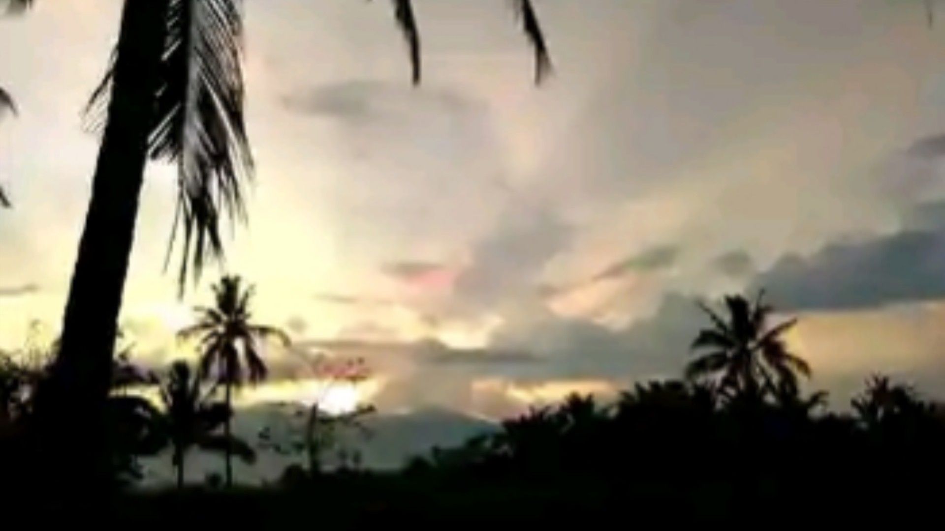 Karaoke 🎤 - BiliBili