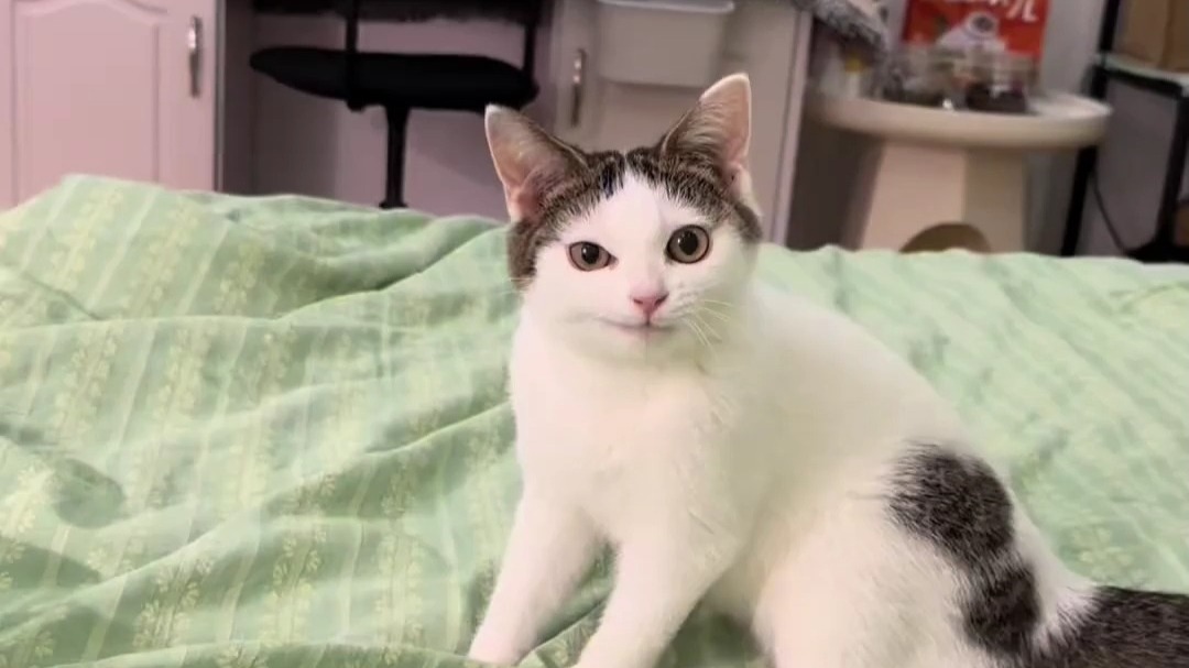 Evil Little Niga’s still as evil as ever now that he’s grown up! - BiliBili