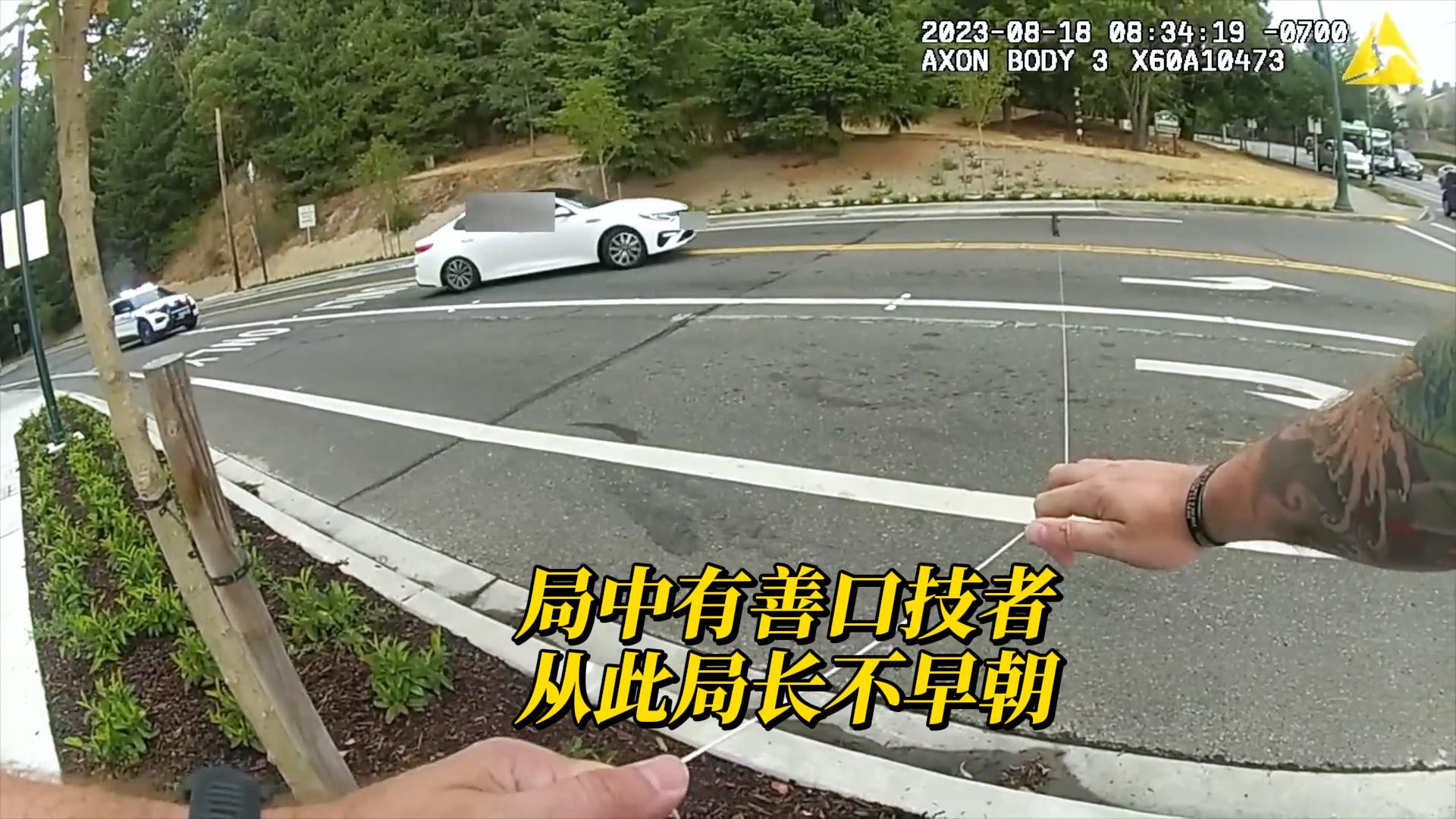 Dog: What are you barking at, dog? - BiliBili