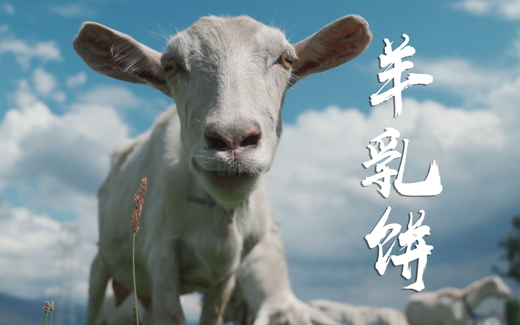 Yunnan’s Bai “Eastern Cheese” — rich with the aroma of sheep’s milk ...