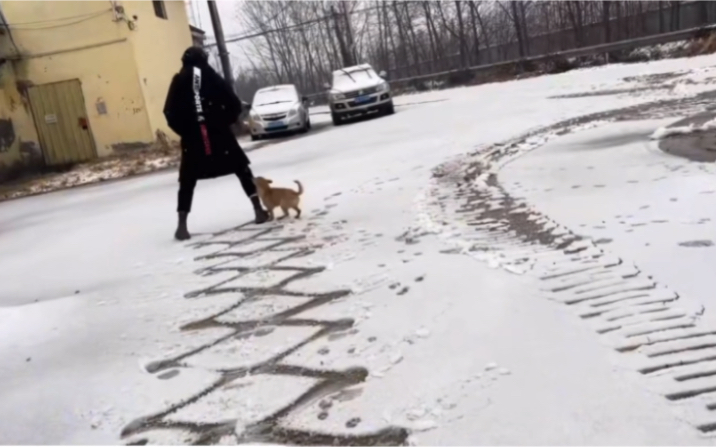 “I Was a Sliding Door in My Past Life” - BiliBili