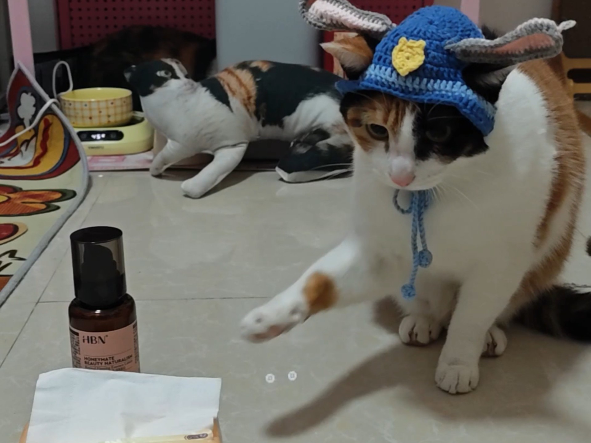 Pure Muscle Memory - BiliBili