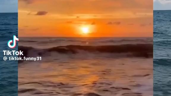 random meme - BiliBili