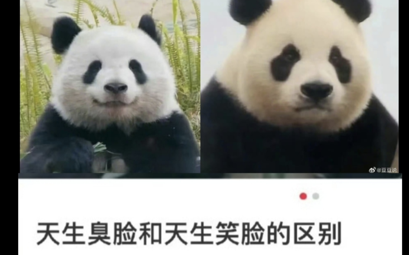 The Difference Between a Naturally Grumpy Face and a Naturally Smiling ...