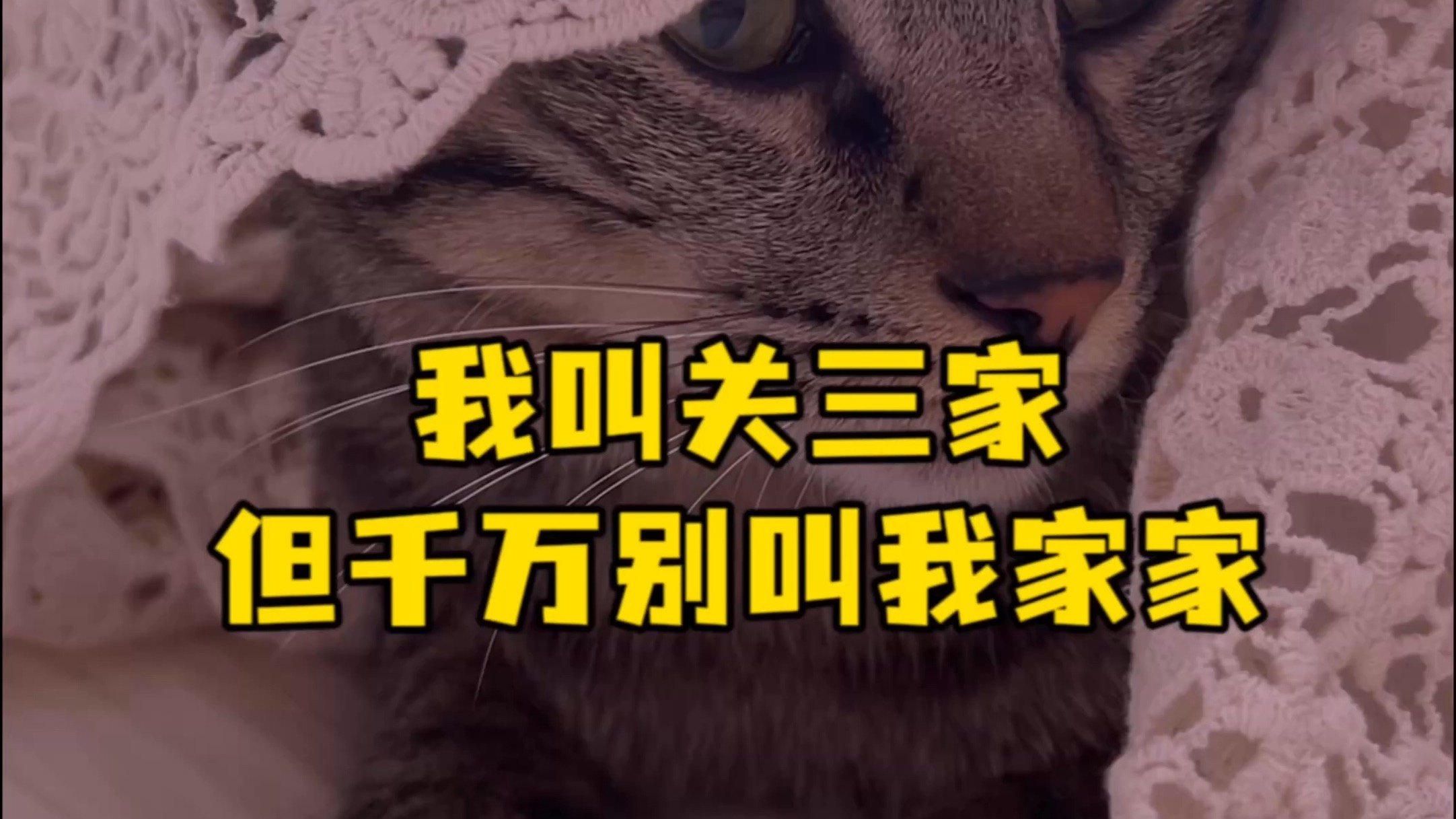 My name’s Guan Sanjia, but you’d better not call me “Jiajia.” - BiliBili