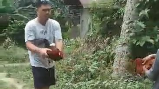 BITAW lang - BiliBili