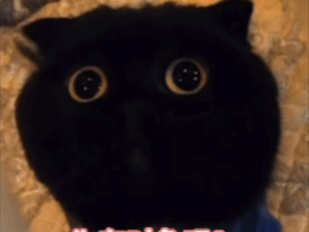 Memes? Come grab ’em! - BiliBili