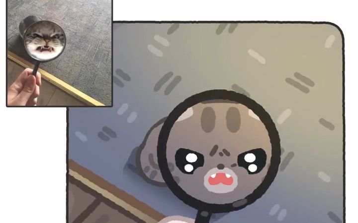 Who can resist a cute kitten? - BiliBili