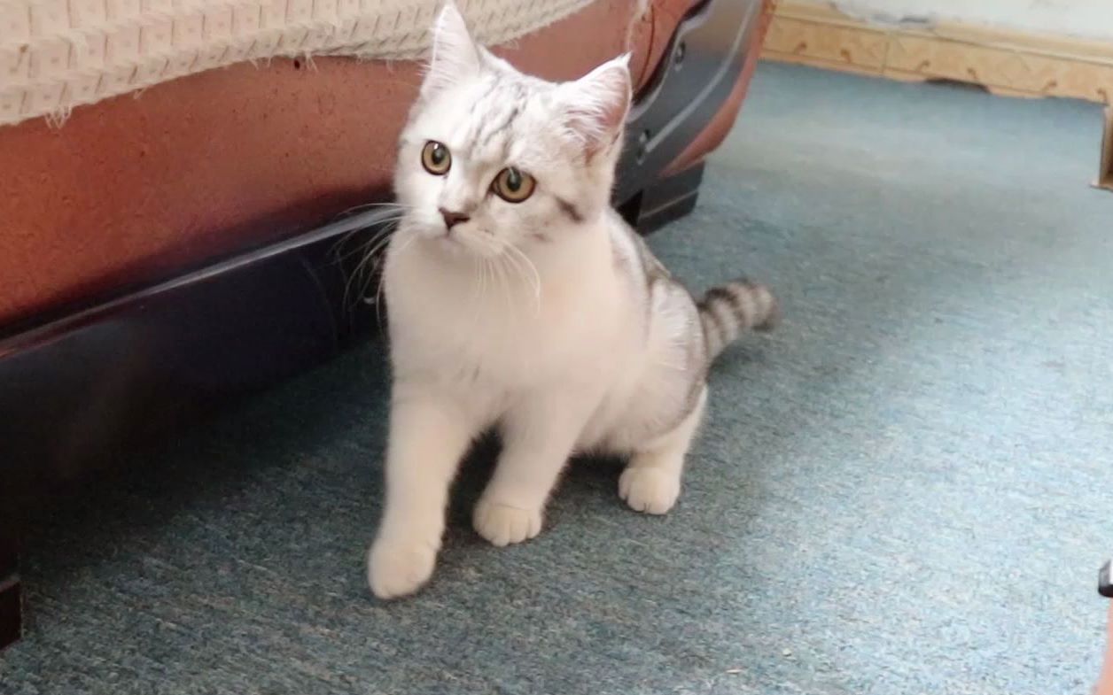 You’ve already grown so much in just 4 months! - BiliBili