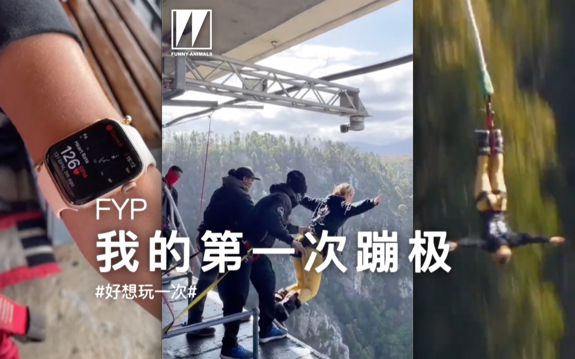 You Need to Try Bungee Jumping Once in Your Life - BiliBili