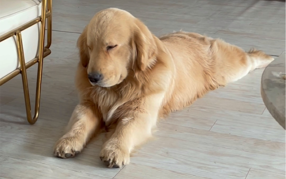 Today’s Sleep-Deprived Dumbass Fix! - BiliBili