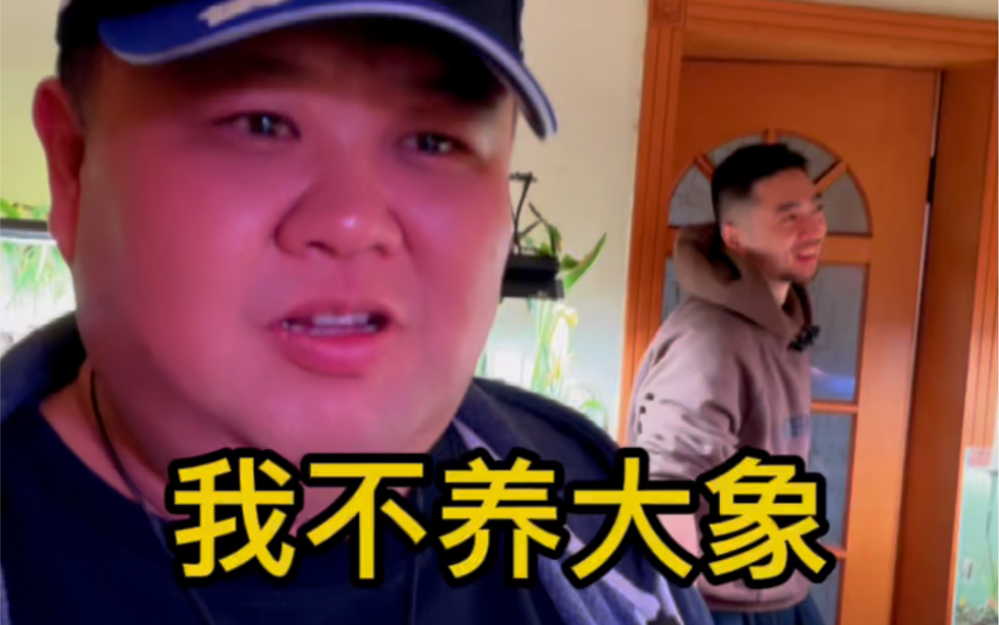 Teacher Sun Yue Teaches Me How to Raise an Elephant - BiliBili