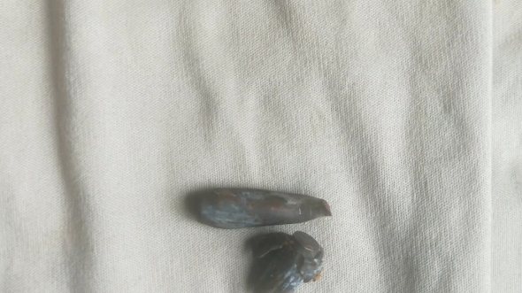 A bullet fragment retrieved from Grandpa’s ashes… he fought in the ...