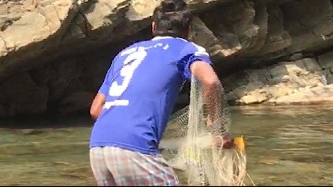cast net fishing in Nepal | asala fishing | himalayan trout fishing ...