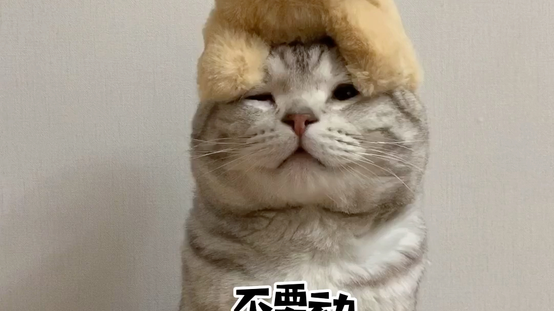 So good, haha! - BiliBili