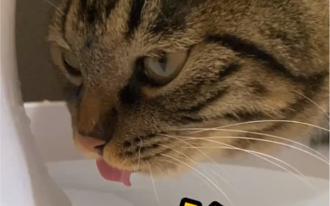 Volume: I can tell you’ve got a serious illness. - BiliBili