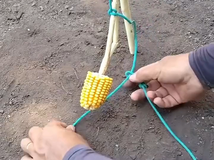 Outdoor survival hacks: Learn ’em and you’re ahead! - BiliBili