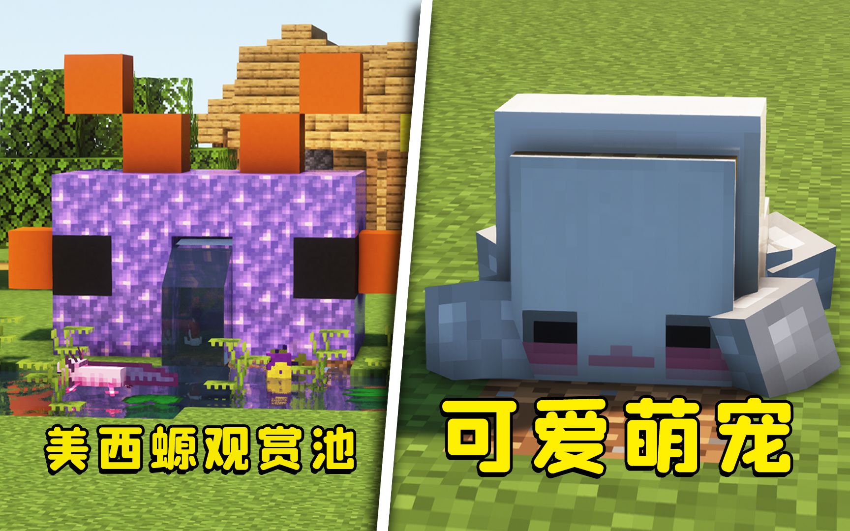 Minecraft: 5 small interiors, a water-breathing axolotl, who doesn't ...