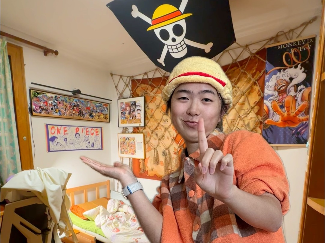 Transform a Room into a One Piece-Themed Haven - BiliBili