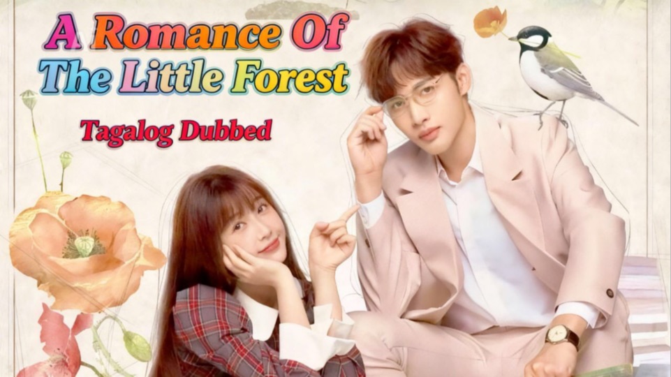 27.TITLE: A Romance Of The Little Forest [2022]Chinese Series Genre ...