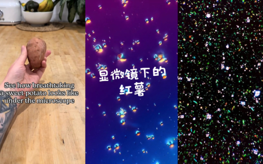 Sweet Potatoes Under the Microscope 🍠 - BiliBili