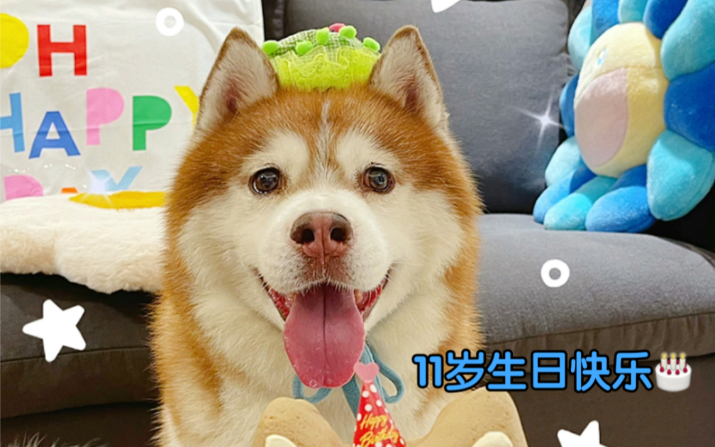 Happy 11th birthday 🎂 I don’t know how much more time I have with you ...