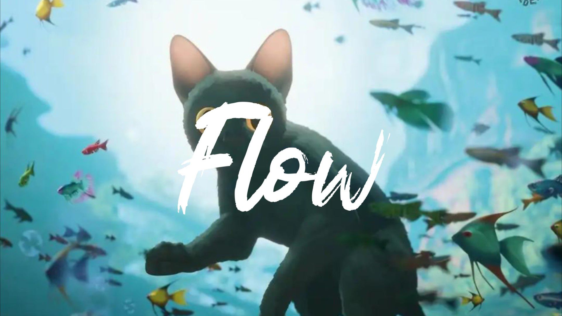Flow - BiliBili