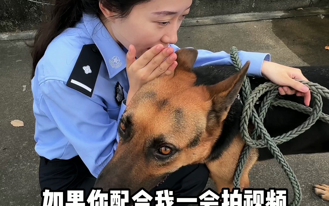 Are there any college students still available to help walk the police ...