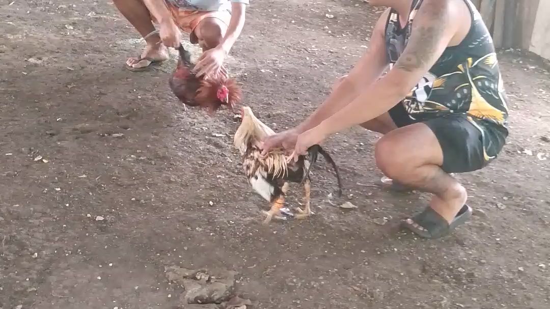 my 8months on the move - BiliBili