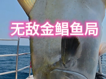 Hop on a boat to go fishing at sea—let’s see if we can break even ...