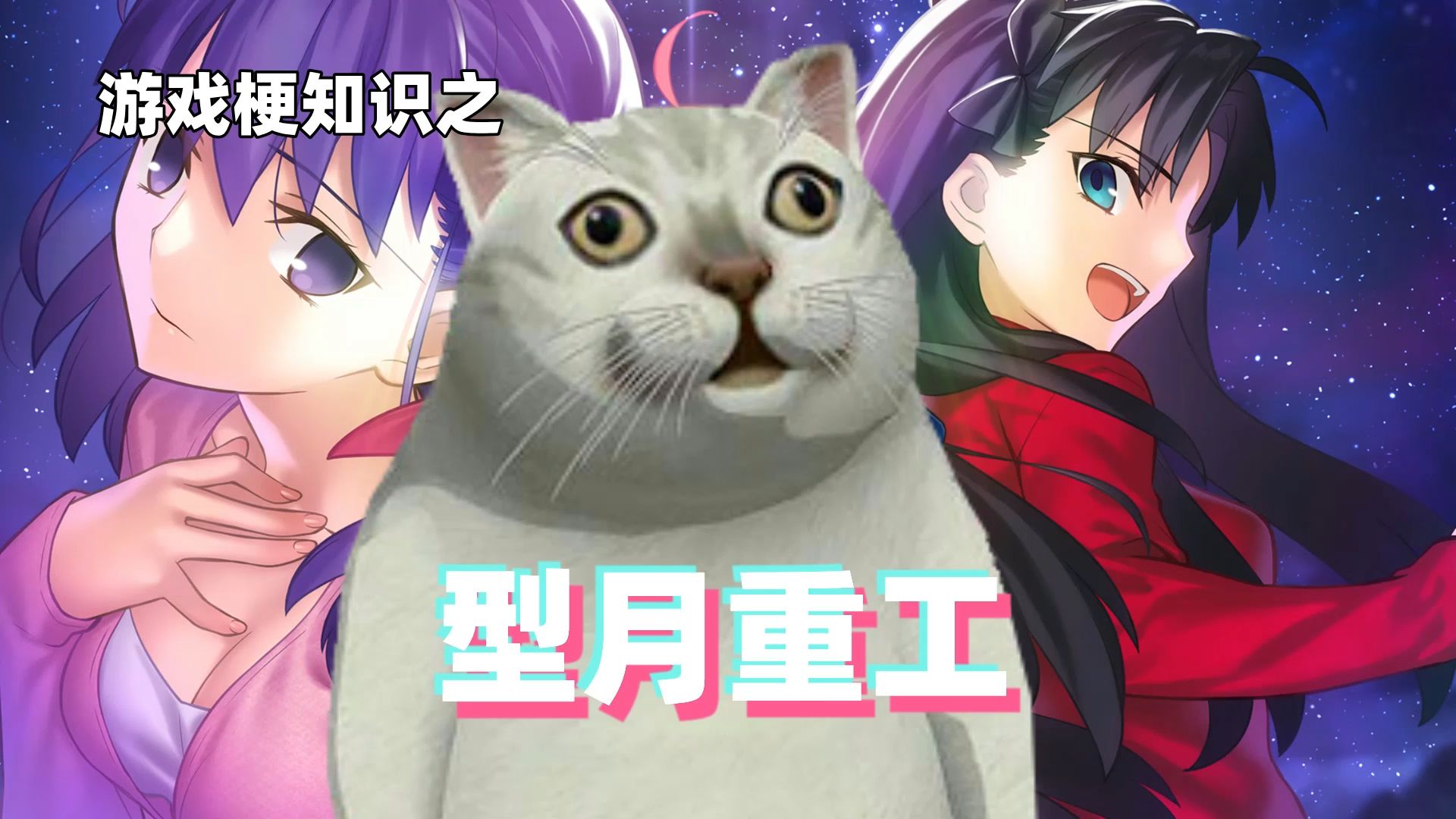 Gaming Memes 101: Type-Moon Heavy Industry - BiliBili