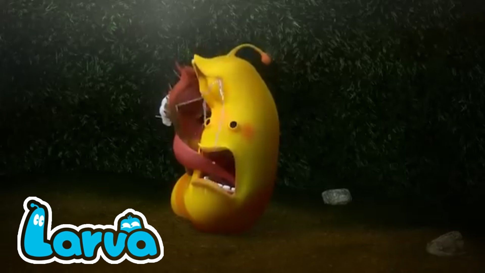 LARVA || NEW FRIEND 4 - CARTOON CHILDREN - BiliBili