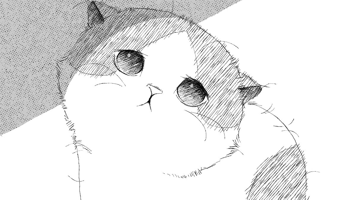 Oh oh, little milk cat 👆, awesome! - BiliBili