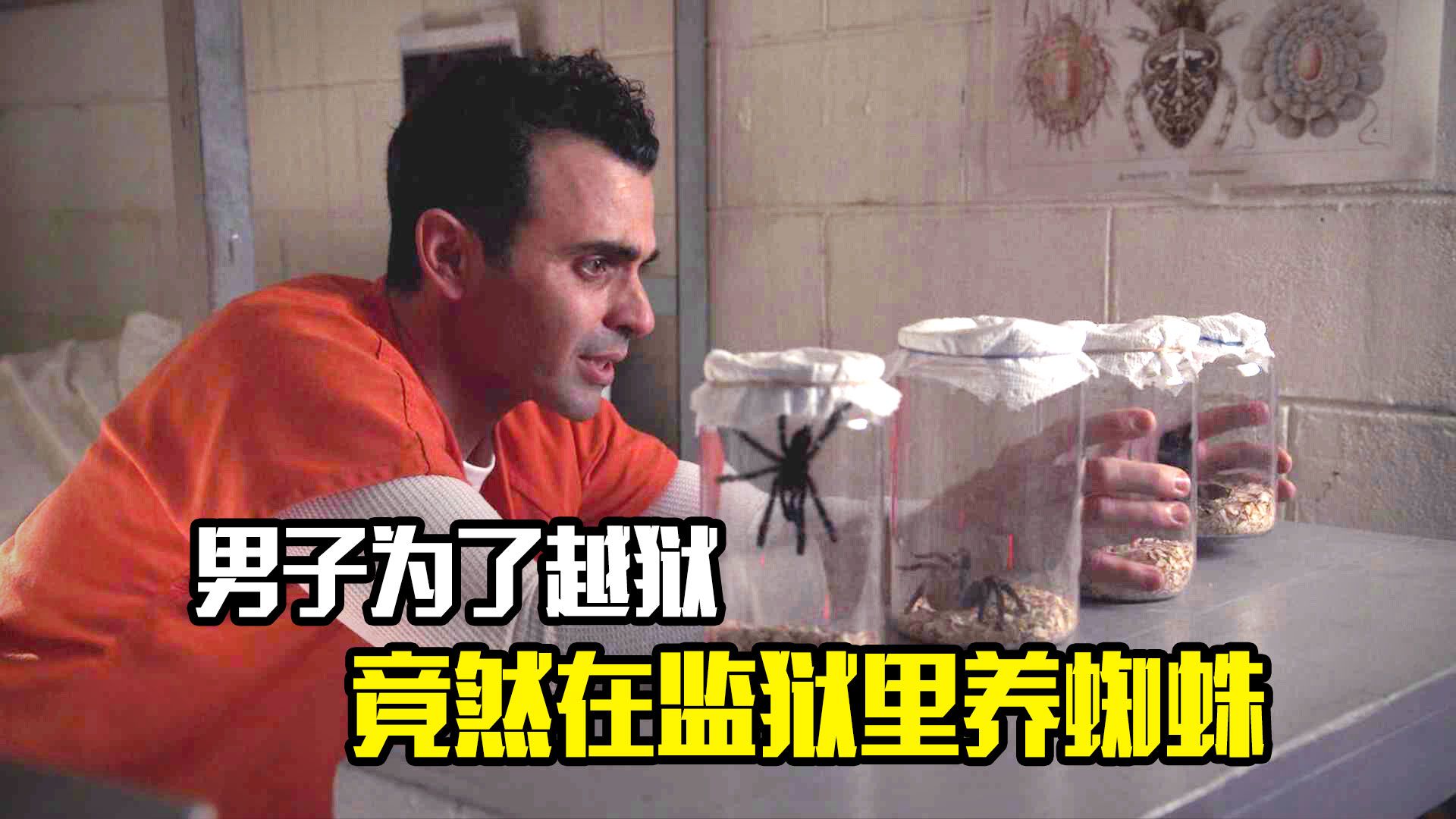 A man even raised spiders in prison just to help him escape—what a ...