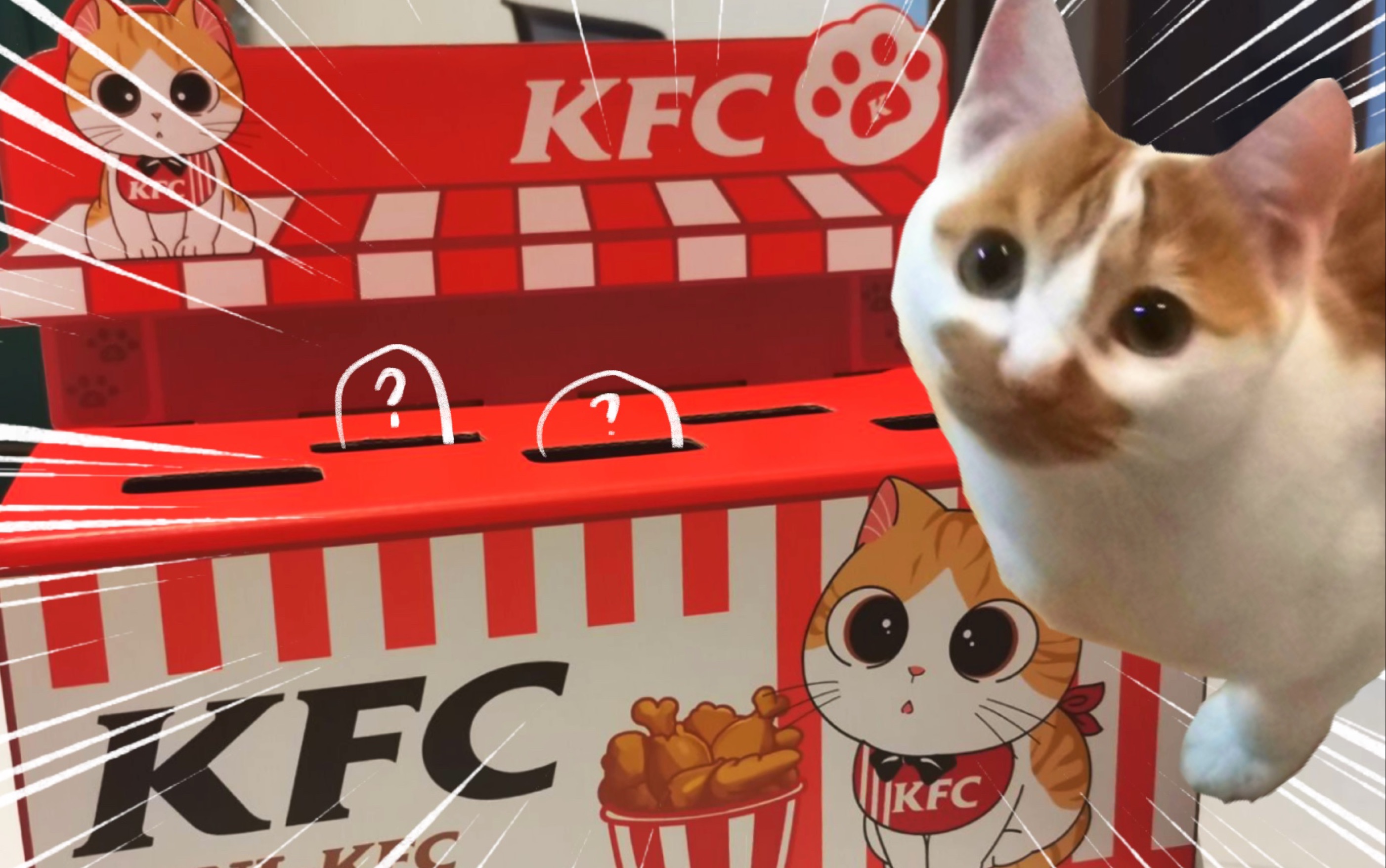 Mainan Kucing Hadiah KFC yang Diuji Coba oleh Kucing Asli - Bstation