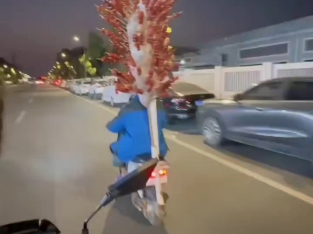 Candied hawthorns - BiliBili