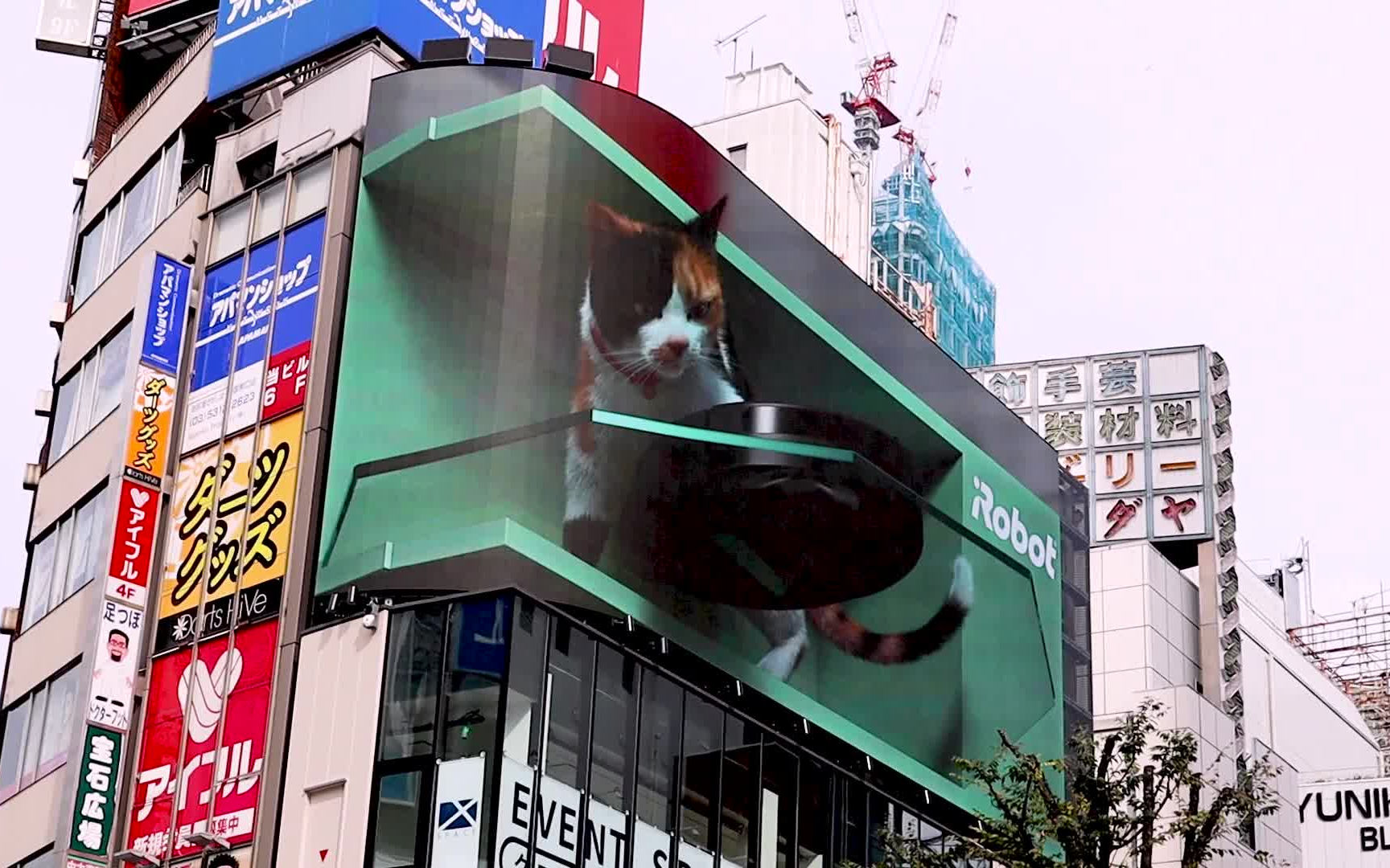 Tokyo’s 3D cat in Shinjuku has hit shedding season—time for the robot ...