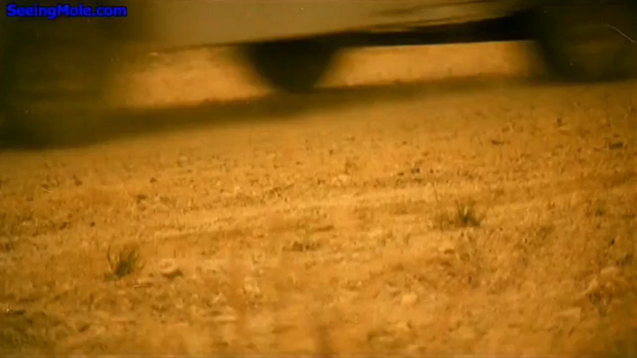 ชุมเสือ แดนสิงห์ ตอน กระตุกติ่งเจ้าพ่อ - BiliBili