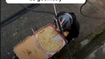 master rider🤣 - BiliBili