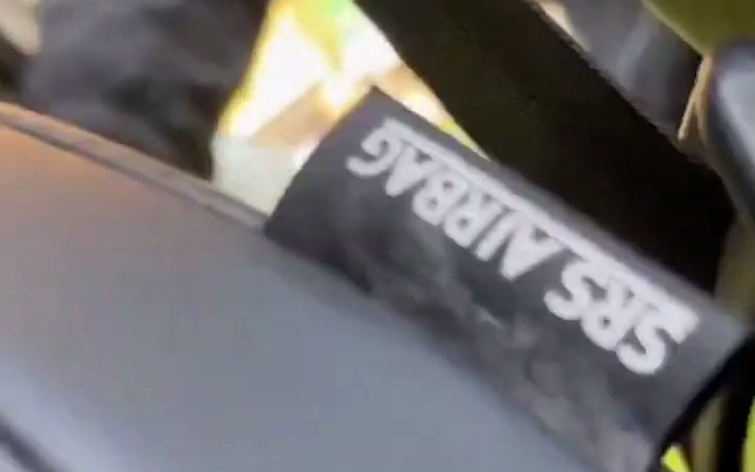 The phone rings in the bushes—when the girl picks it up, she ultimately ...