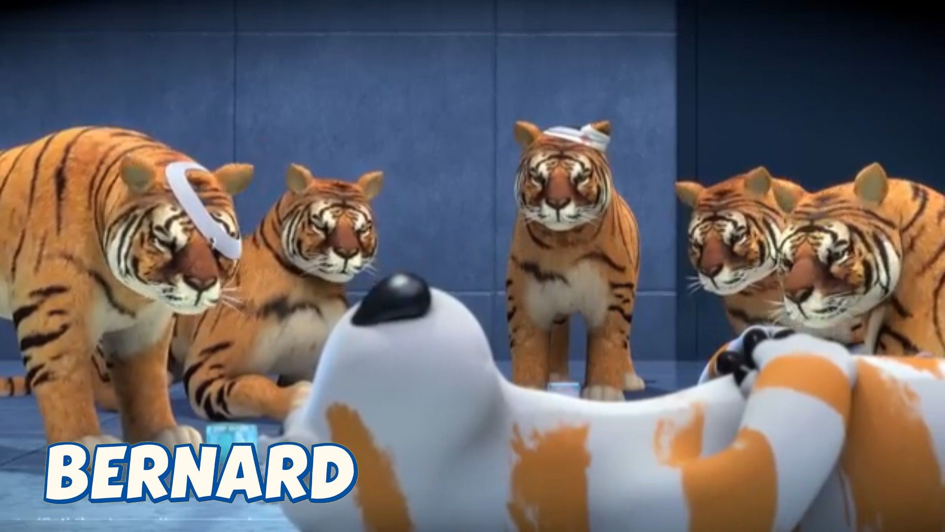 BERNARD BEAR || WILDLIFE RESERVE - CARTOON CHILDREN - BiliBili